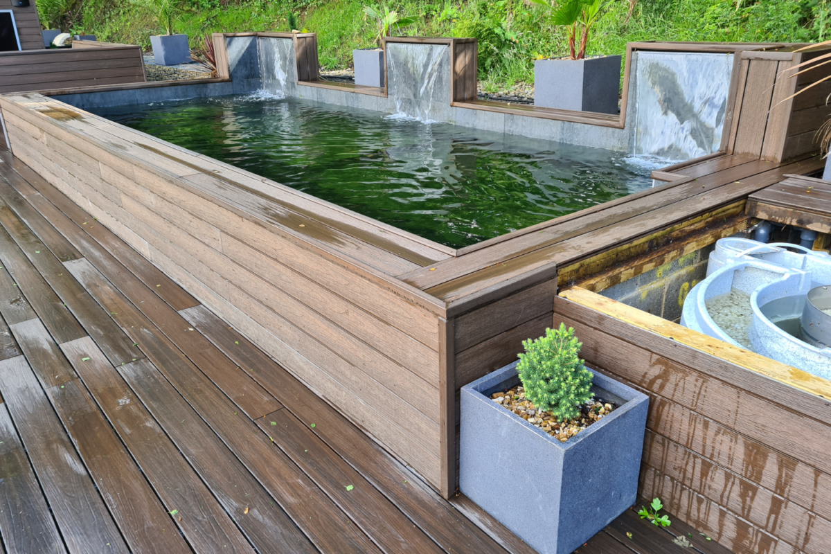 Pond Styles by Ponds Northwest – Expert Pond Builders