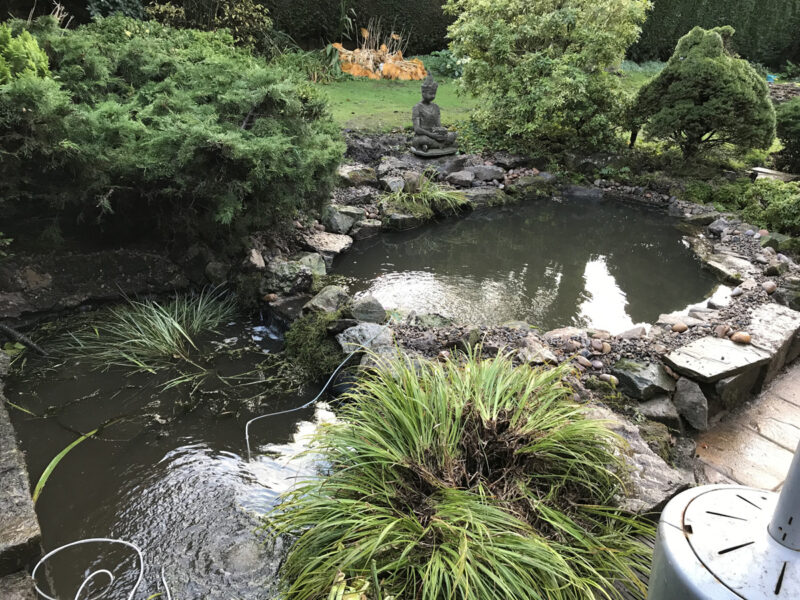 Natural Ponds by Pond Builders Ponds Northwest