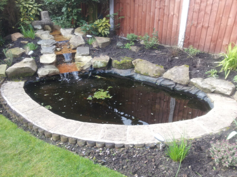 Pond Styles by Ponds Northwest – Expert Pond Builders
