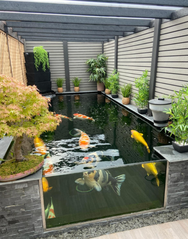 Raised Contemporary Ponds by Pond Builders Ponds Northwest