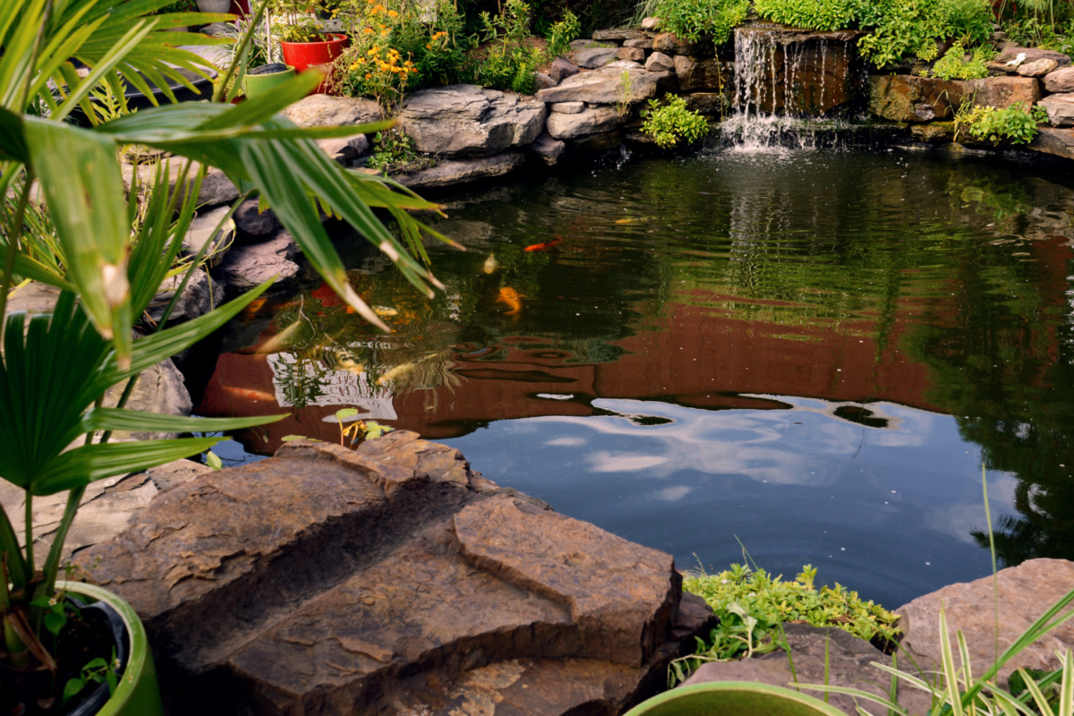 Pond Styles by Ponds Northwest – Expert Pond Builders