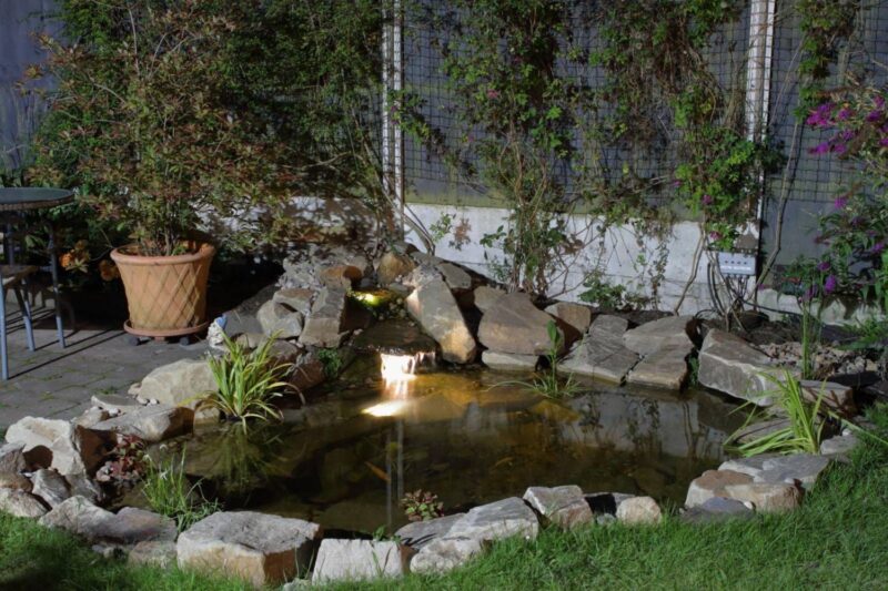 Eco-Scaped Ponds | Pond Builds by Ponds Northwest