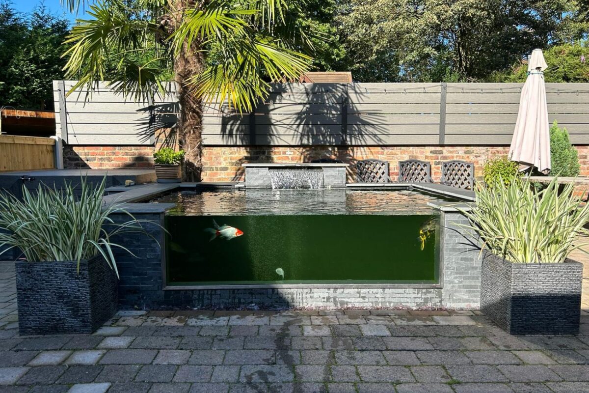 Contemporary Ponds | Ponds Northwest